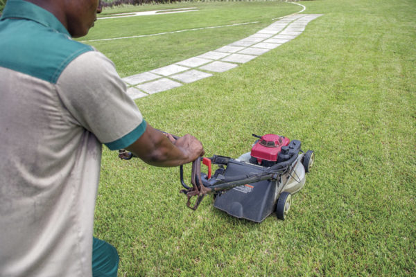 IslandScapes – Landscaping, Seychelles