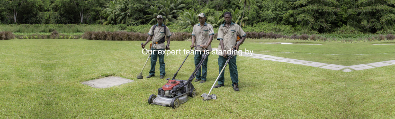 IslandScapes – Landscaping, Seychelles