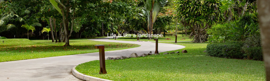 IslandScapes – Landscaping, Seychelles