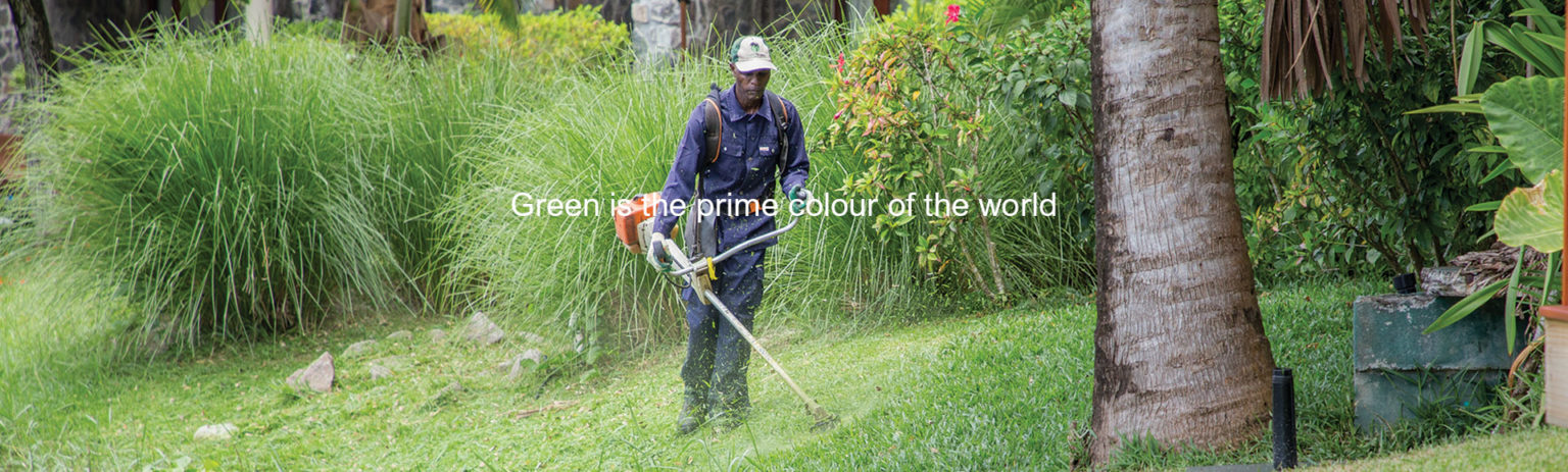 IslandScapes – Landscaping, Seychelles